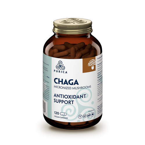 Chaga