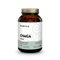 Chaga