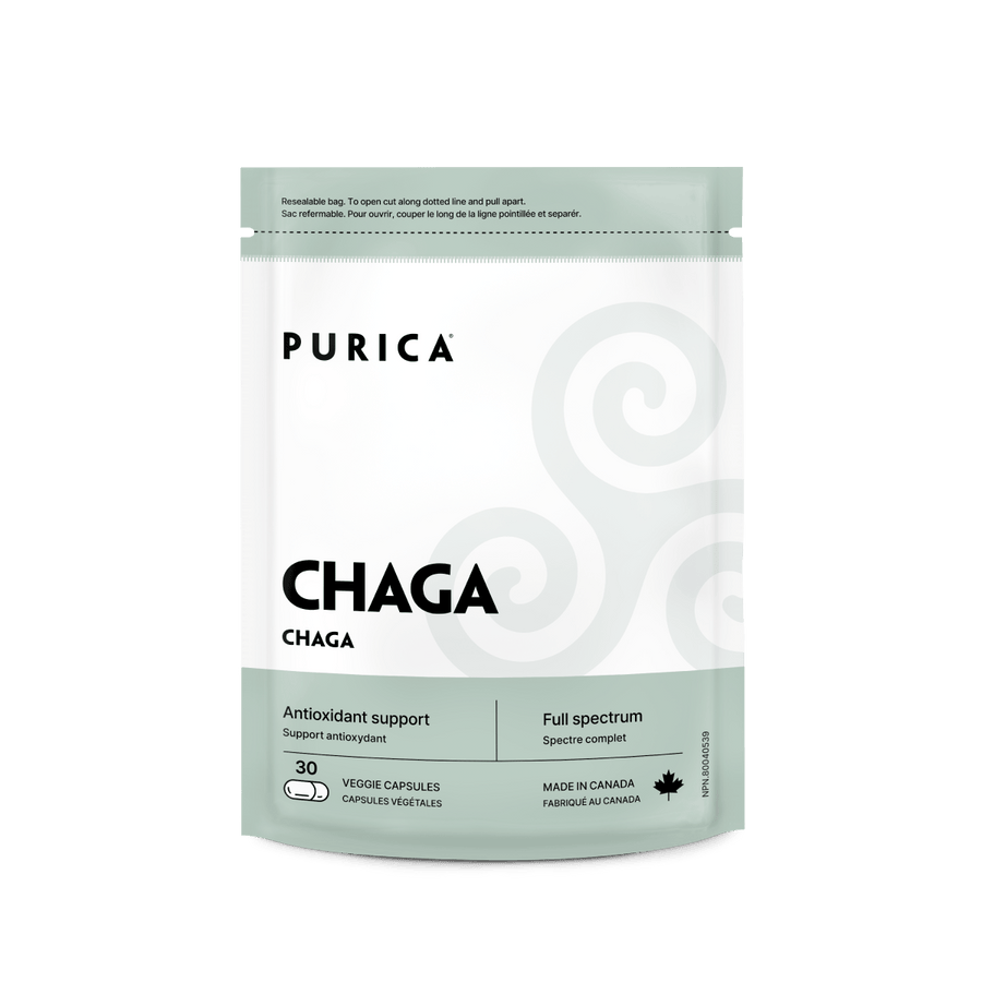 Chaga