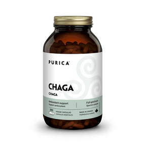 Chaga