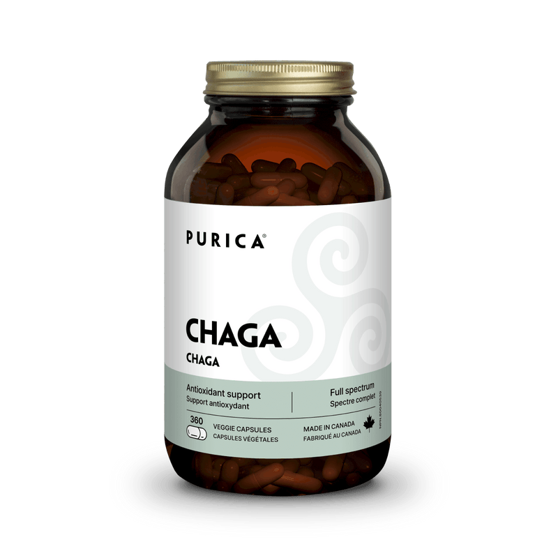 Chaga