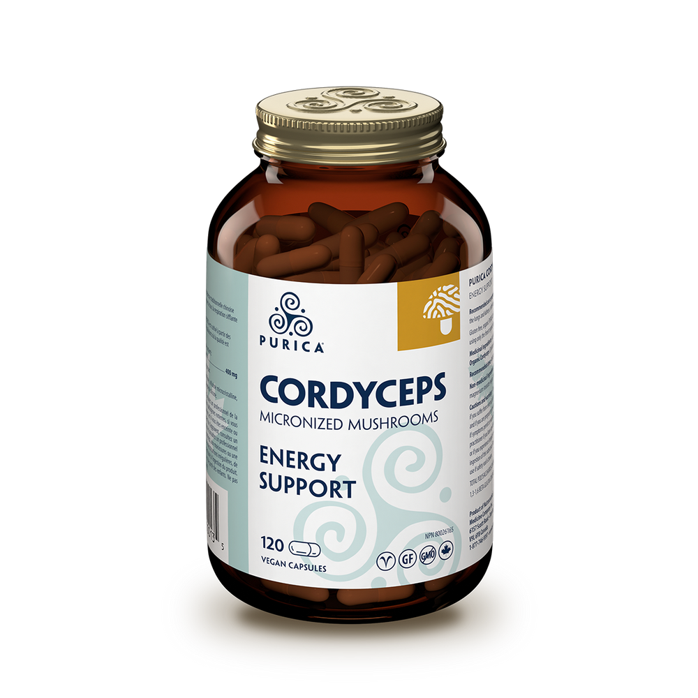 Cordyceps