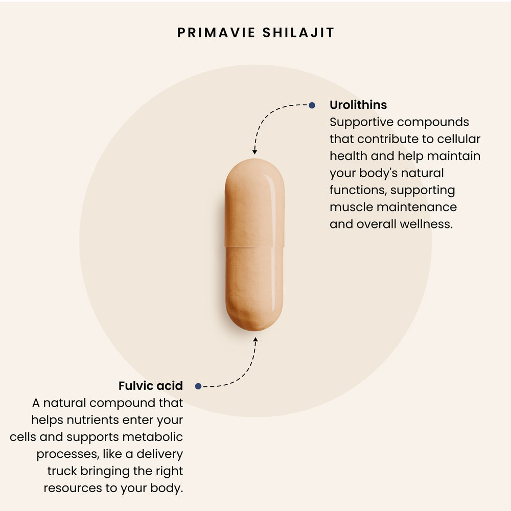 PrimaVie Shilajit