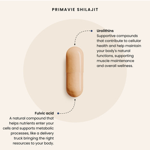 PrimaVie Shilajit