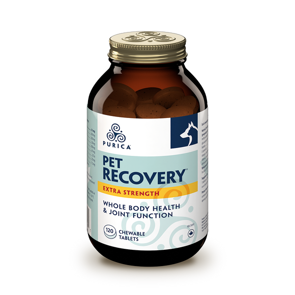 Discover Purica Supplements - Purica Extra Strength Shrooms