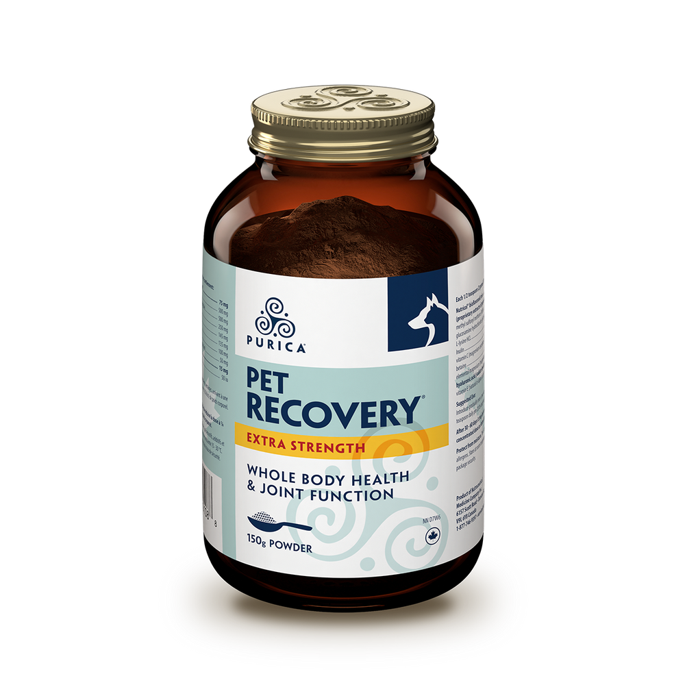 Pet Recovery Extra Strength