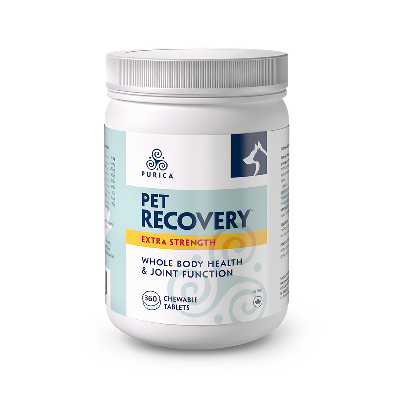 Pet Recovery Extra Strength