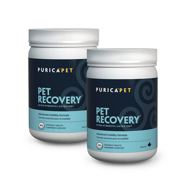 Pet Recovery Extra Strength