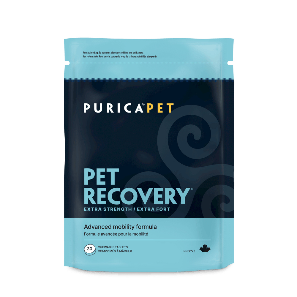 Pet Recovery Extra Strength