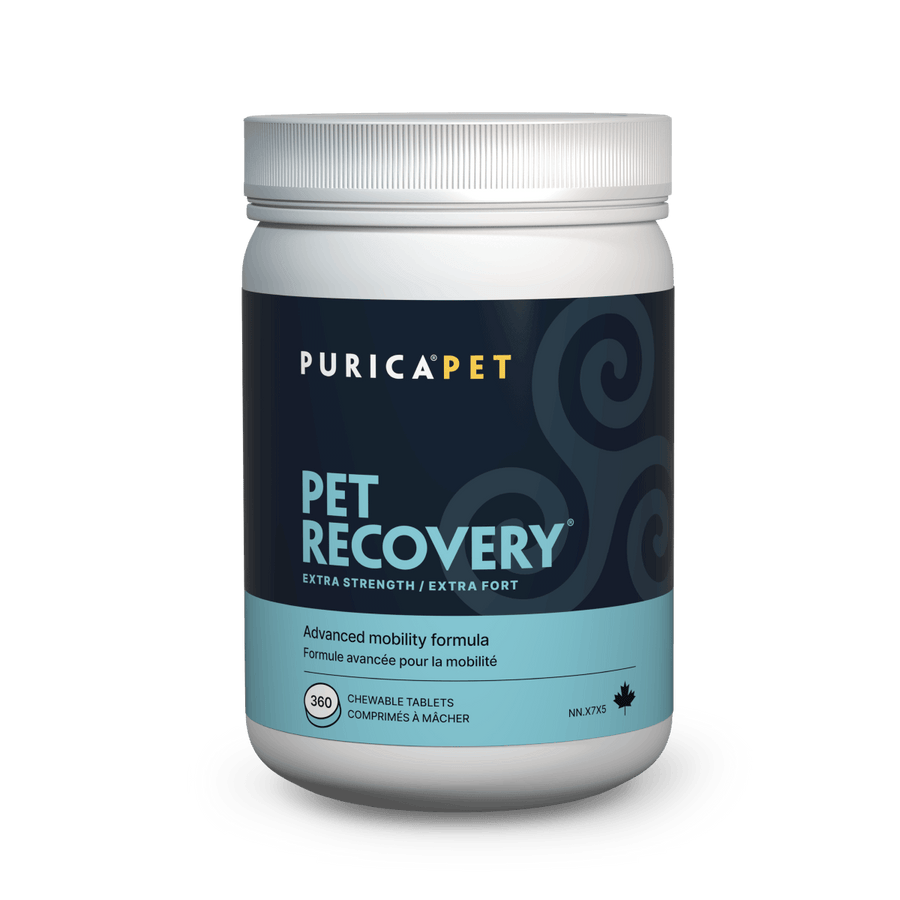 Pet Recovery Extra Strength