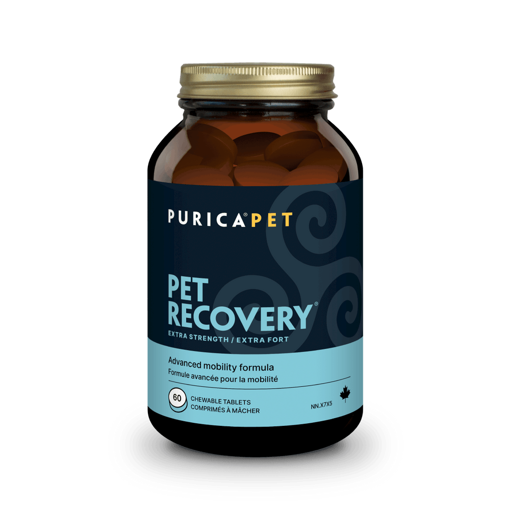 Discover Purica Supplements - Purica Extra Strength Shrooms