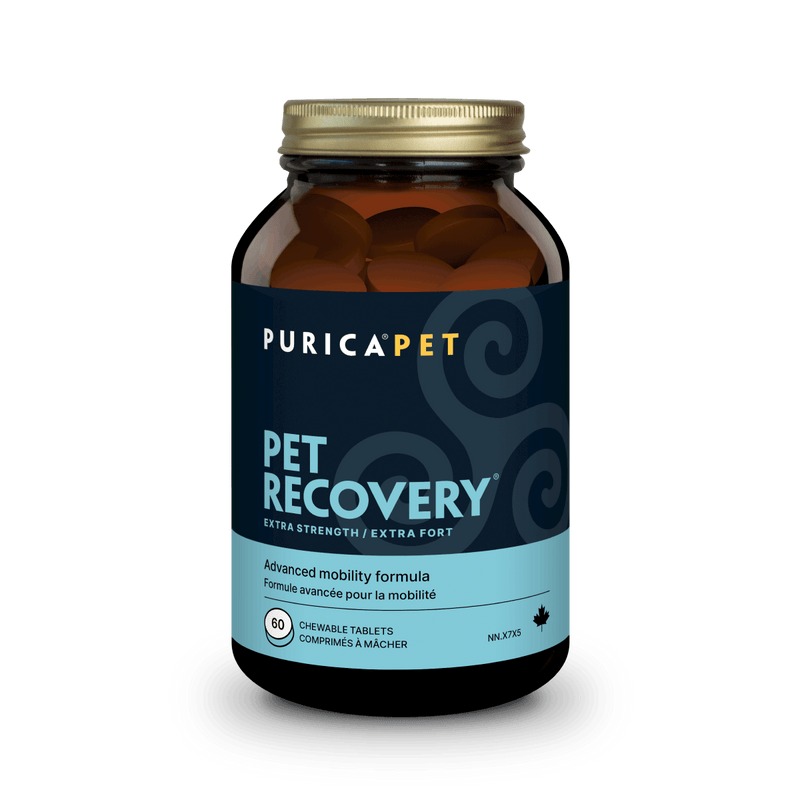 Discover Purica Supplements - Purica Extra Strength Shrooms