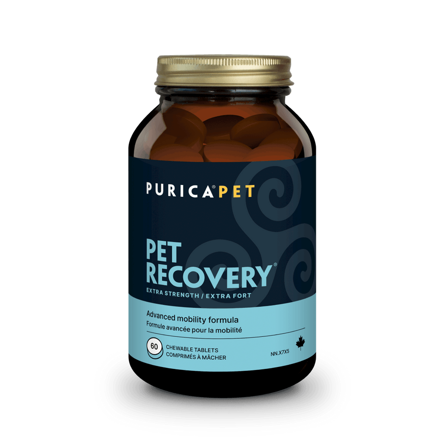 Discover Purica Supplements - Purica Extra Strength Shrooms