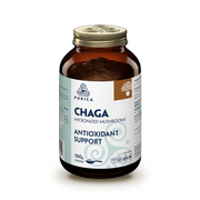 Chaga